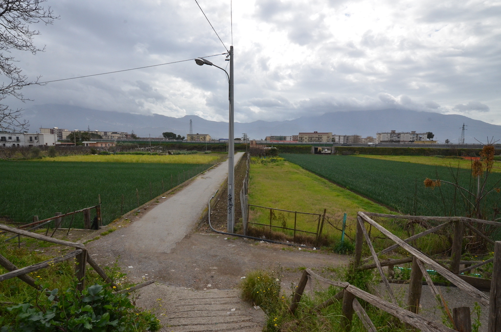 (3) ポンペイでの追加訪問地：Morgine発掘地点 – 残照の古代ローマ